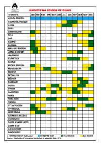 Guava – Varieties in India, Production, Seasons, and Economic ...