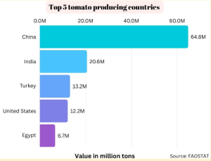 Why tomato paste exports from India are on the rise? - ABC Fruits