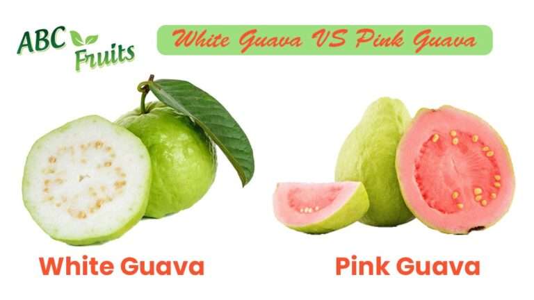 Difference between White Guava vs Pink Guava - ABC Fruits