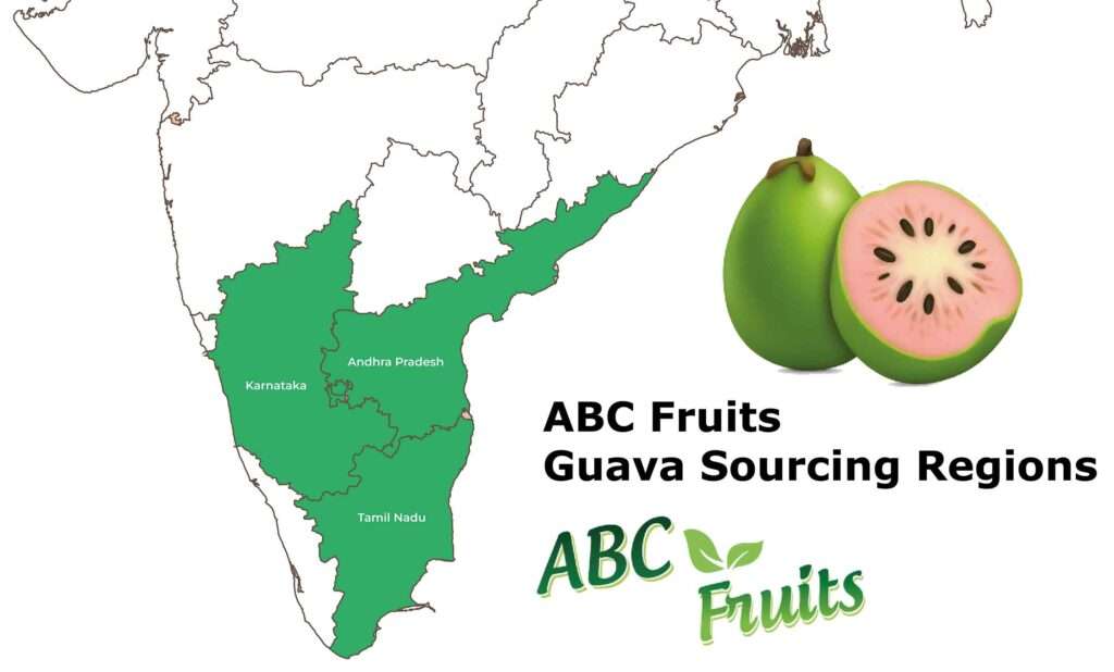 Global Guava Shortage: How India Can Fill the Supply Gap