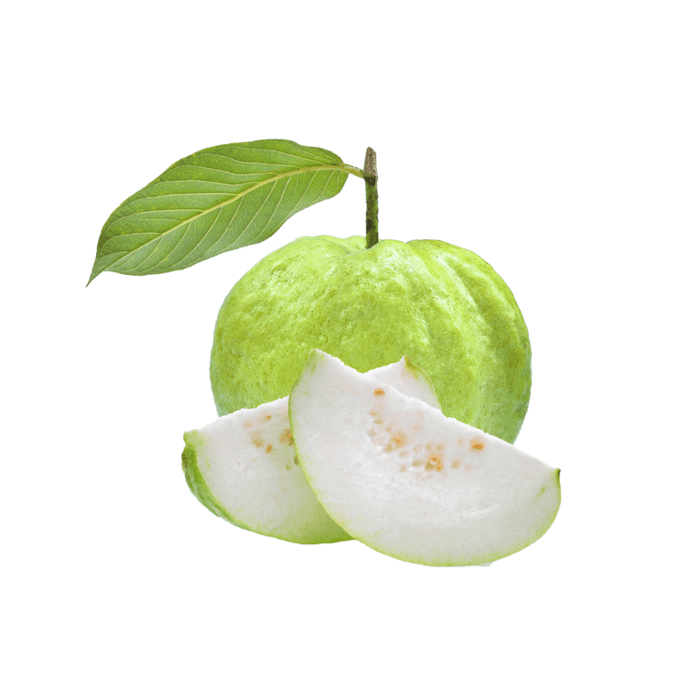 IQF White Guava | Frozen White Guava Manufacturers in India
